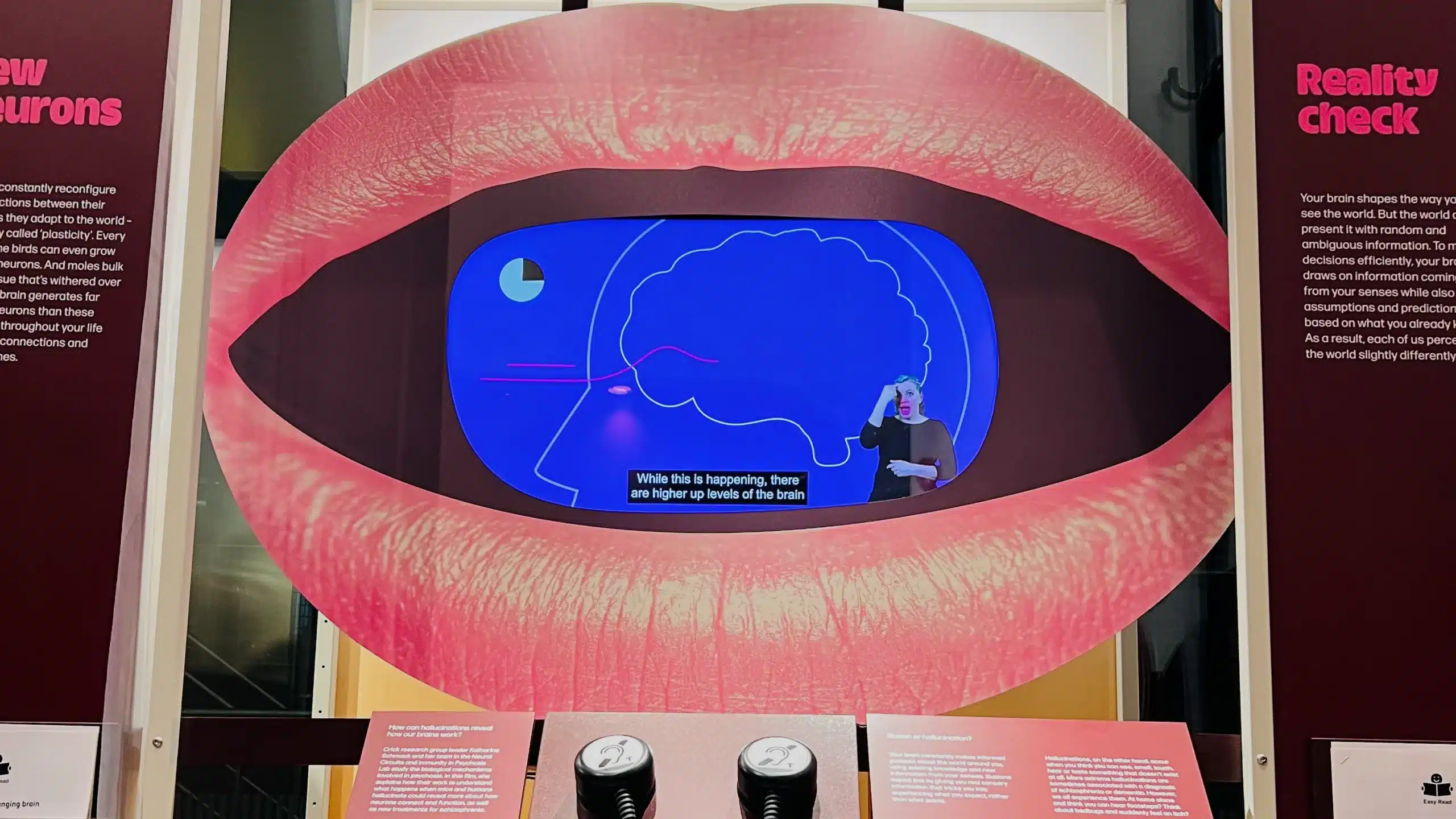 Chocolate Films - Hello Brain! - The exhibition opens at the Crick